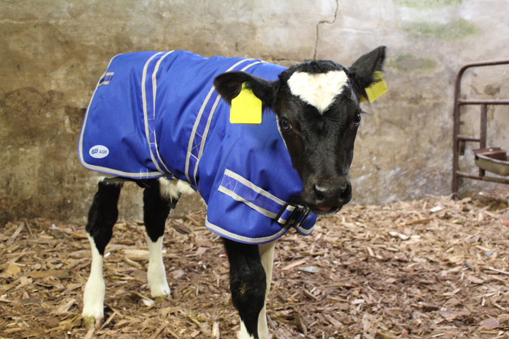 JFC Agri Calf Jacket - Medium