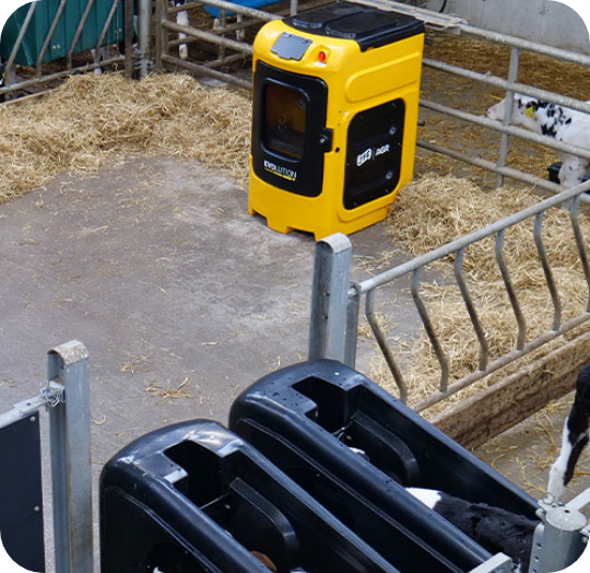 Automatic Calf Feeder