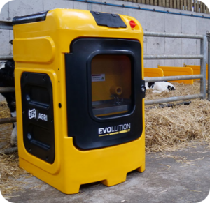 Automatic Calf Feeder