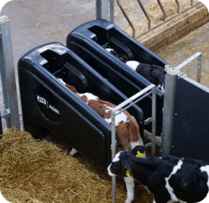 Automatic Calf Feeder