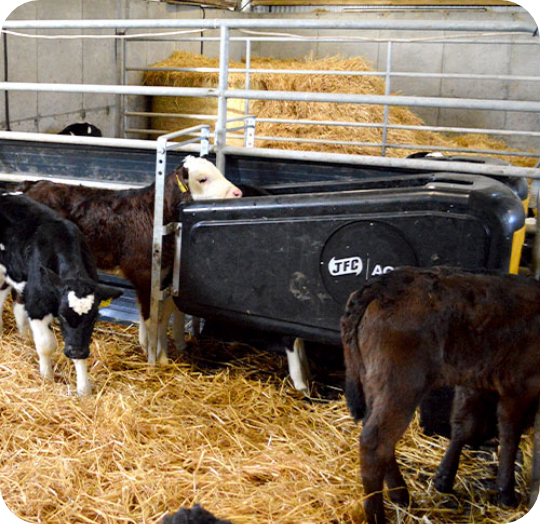 Automatic Calf Feeder