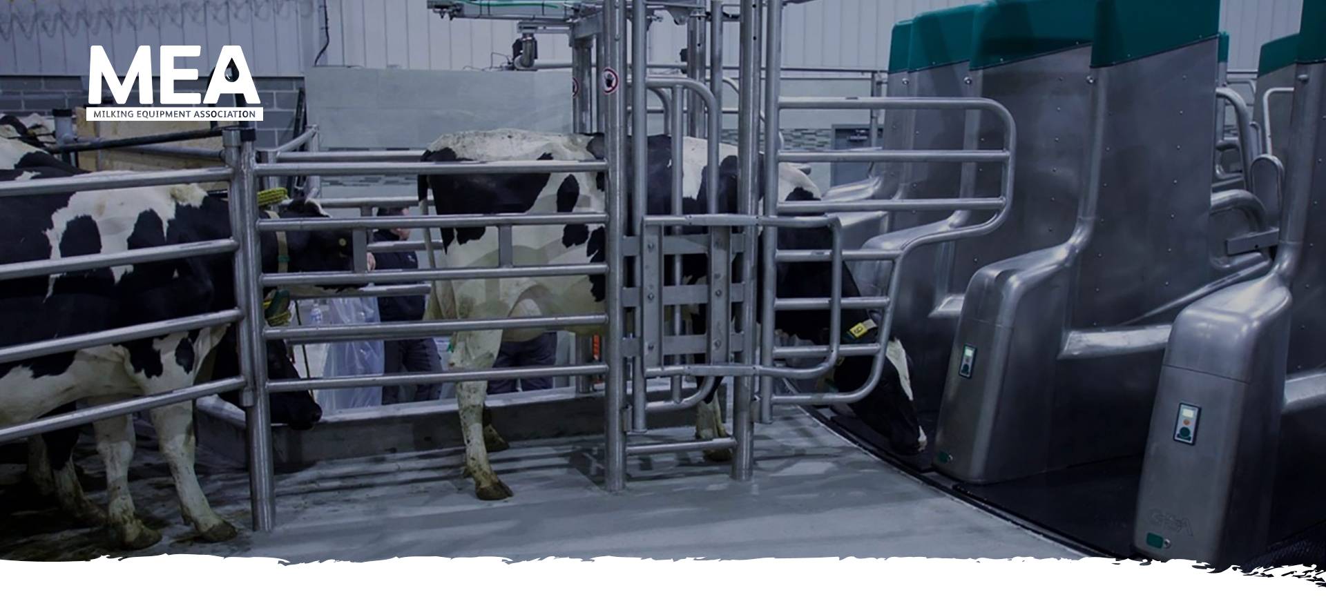 What We Do - United Milking Systems